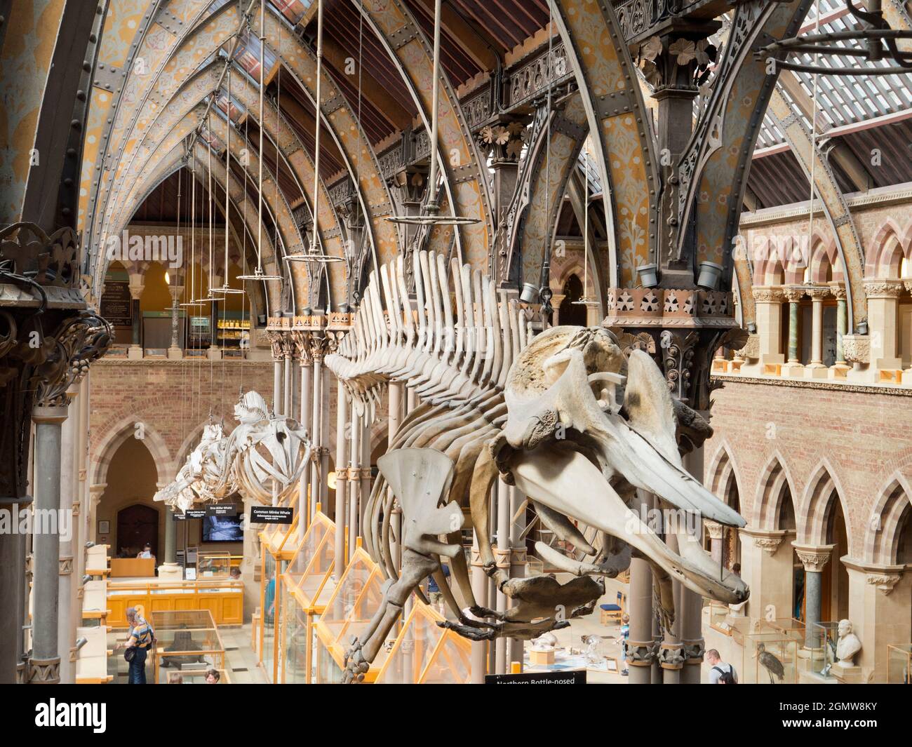 Oxford, England - 2014; The Pitt Rivers Museum is a museum displaying ...