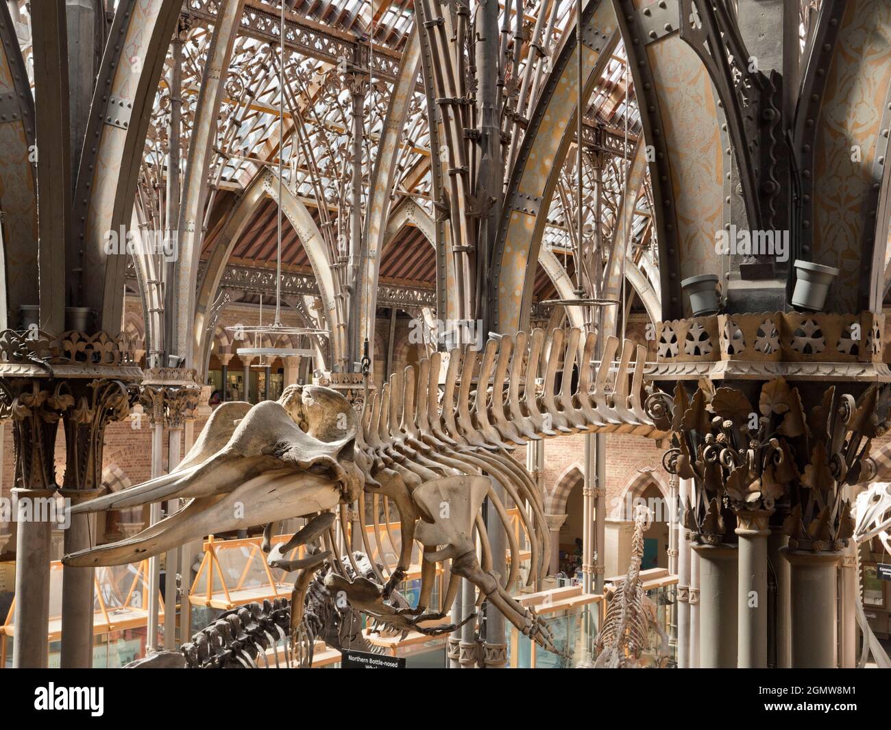 Oxford, England - 2014; The Pitt Rivers Museum is a museum displaying ...