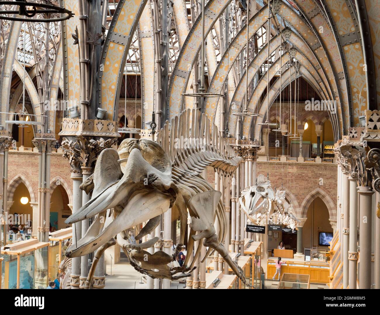 Oxford, England - 2014; The Pitt Rivers Museum is a museum displaying ...