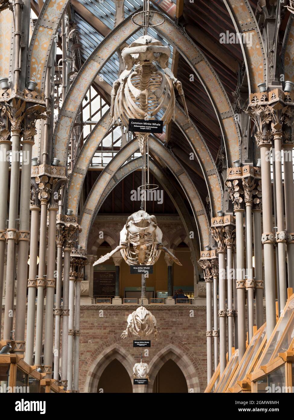 Oxford, England - 2014; The Pitt Rivers Museum is a museum displaying ...