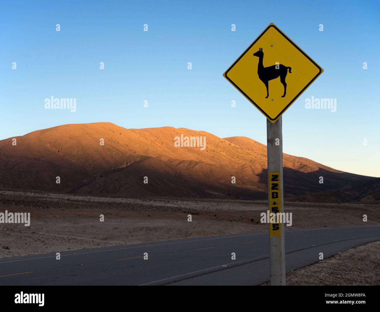 High Andes, Bolivia - 11 May 2018 South America is home to several ...