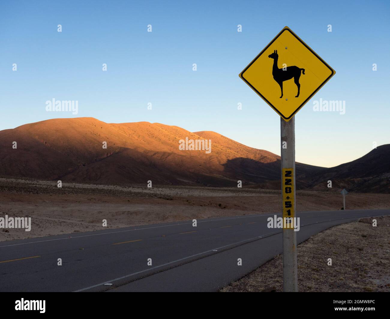 High Andes, Bolivia - 11 May 2018 South America is home to several ...