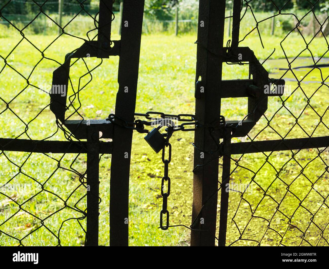 Radley Village, Oxfordshire, England - 10 July 2020 I often see ...