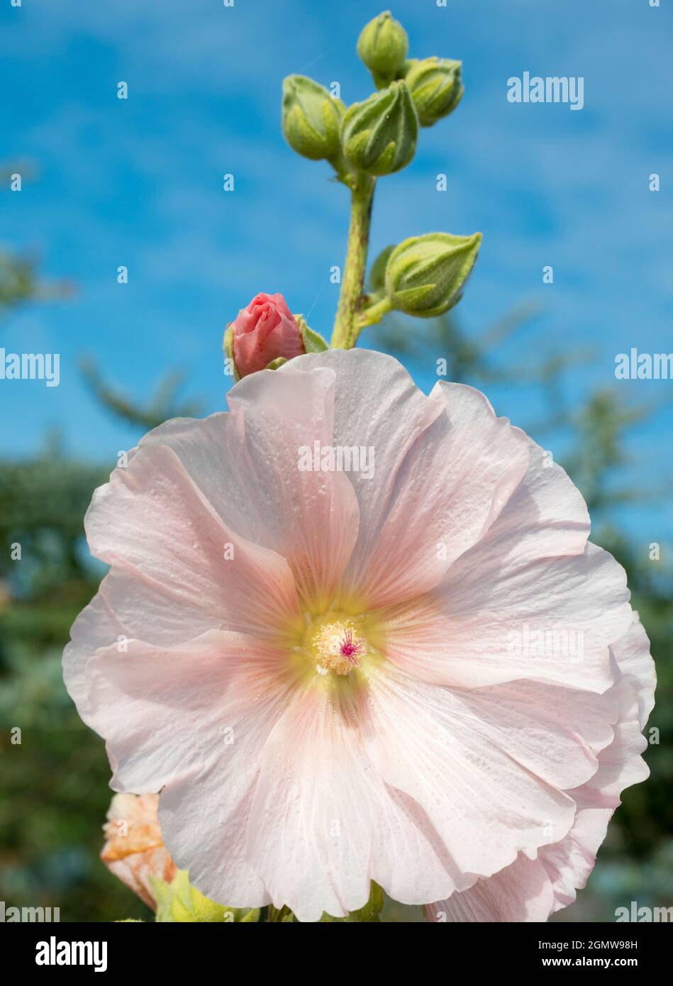 Radley Village, Oxfordshire, England - 22 July 2020; no people in view ...