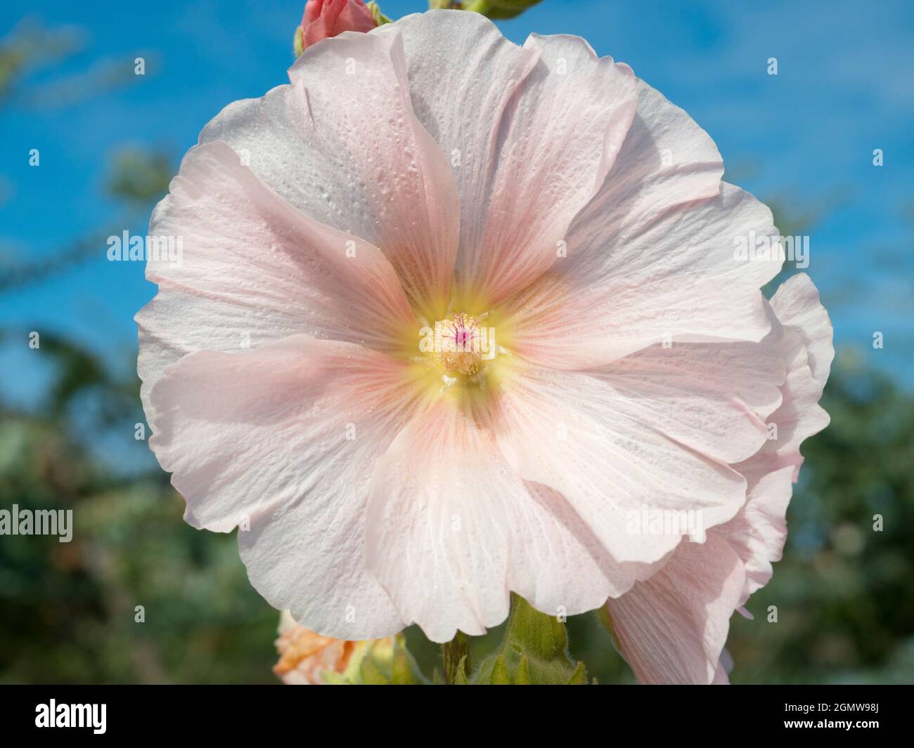 Radley Village, Oxfordshire, England - 22 July 2020; no people in view ...