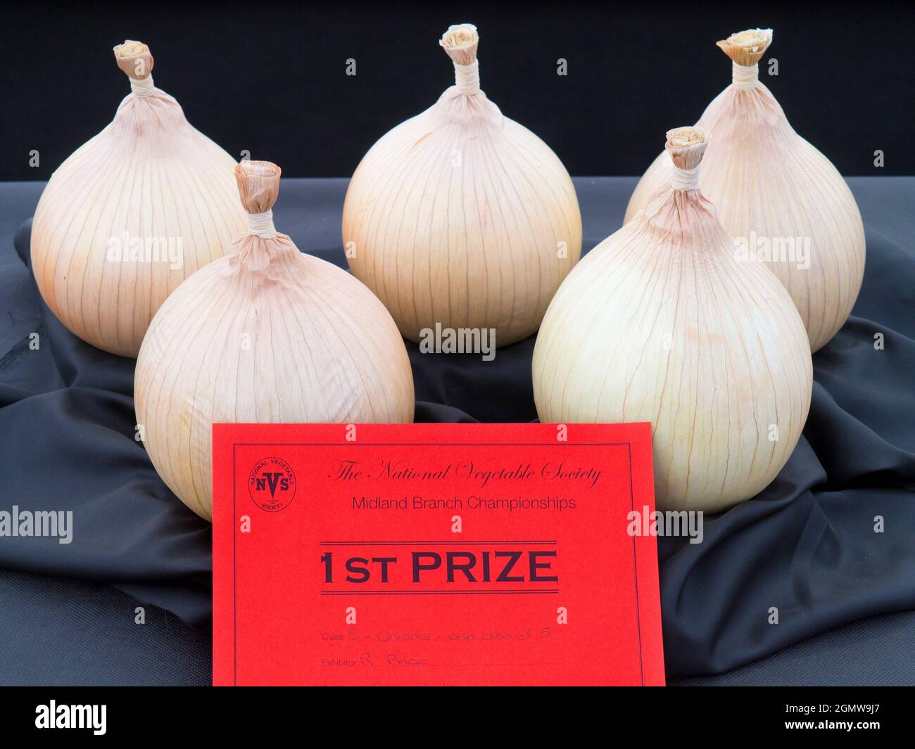 Award winning onions hi-res stock photography and images - Alamy