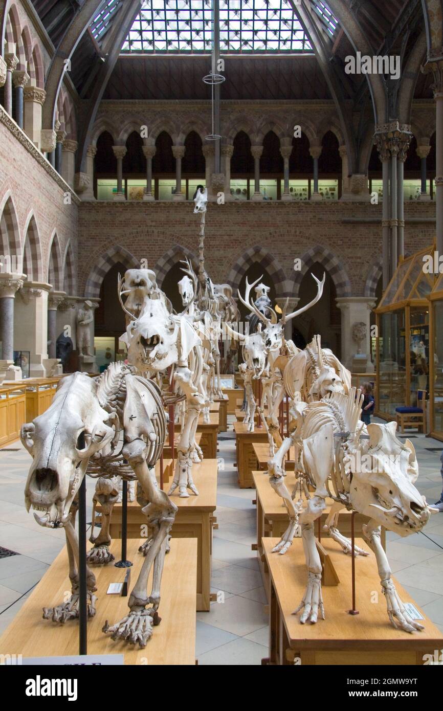 Oxford, England - 2014; The Pitt Rivers Museum is a museum displaying ...