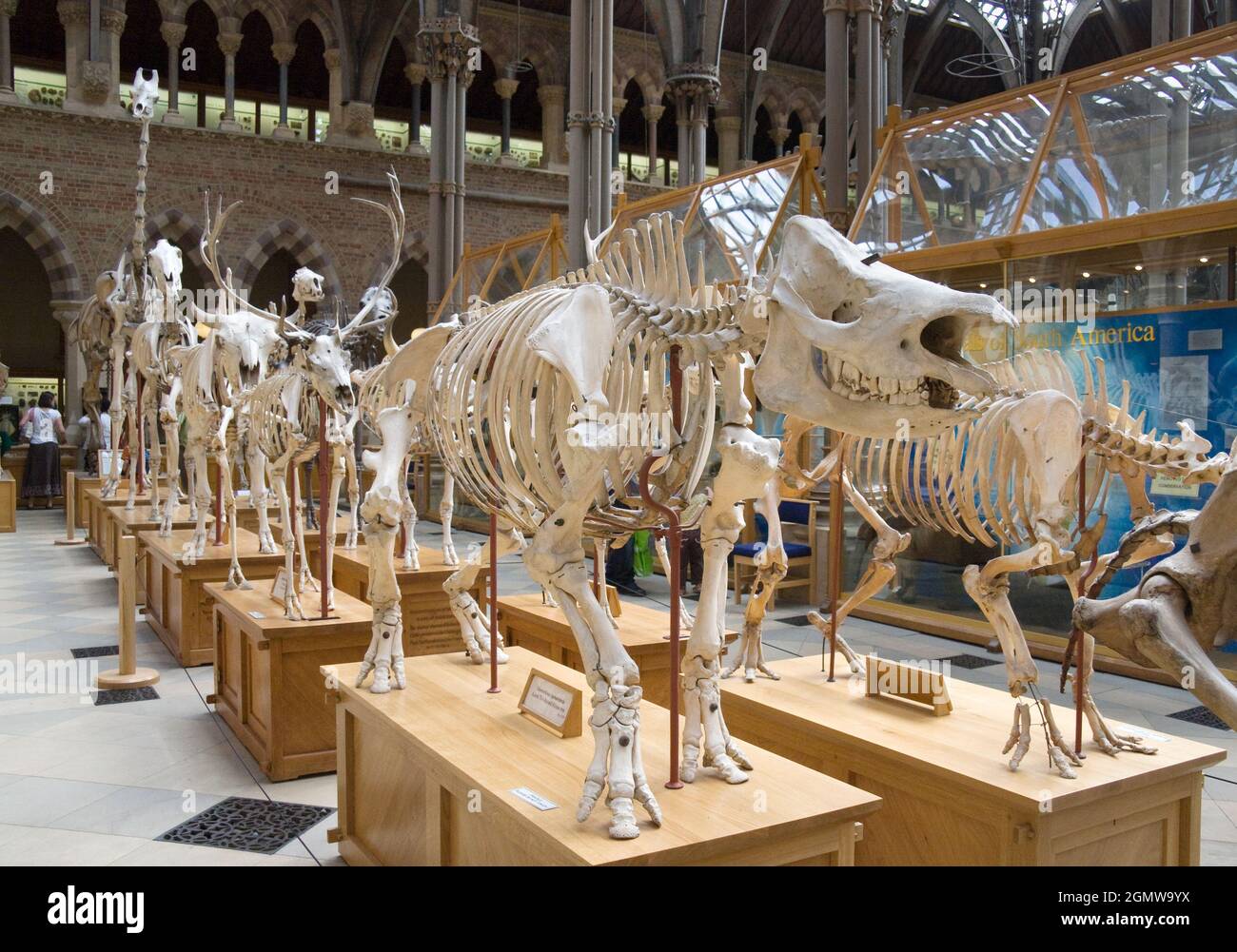 Oxford, England - 2014; The Pitt Rivers Museum is a museum displaying ...