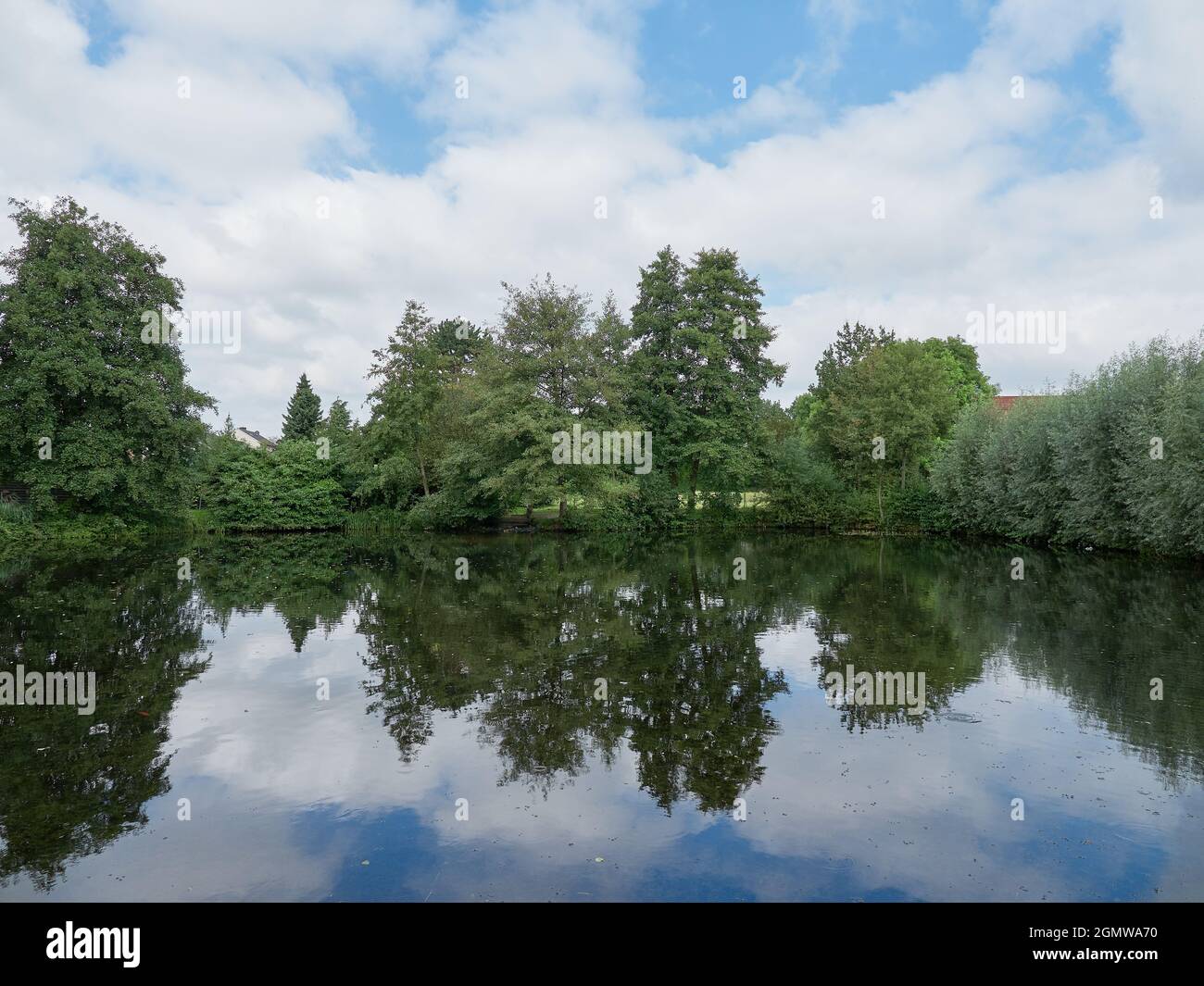 Pond with trees on the edge and reflective sky Stock Photo - Alamy