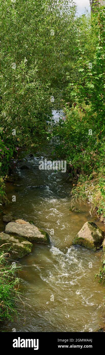 Vertical shot waterfall tree hi-res stock photography and images - Alamy