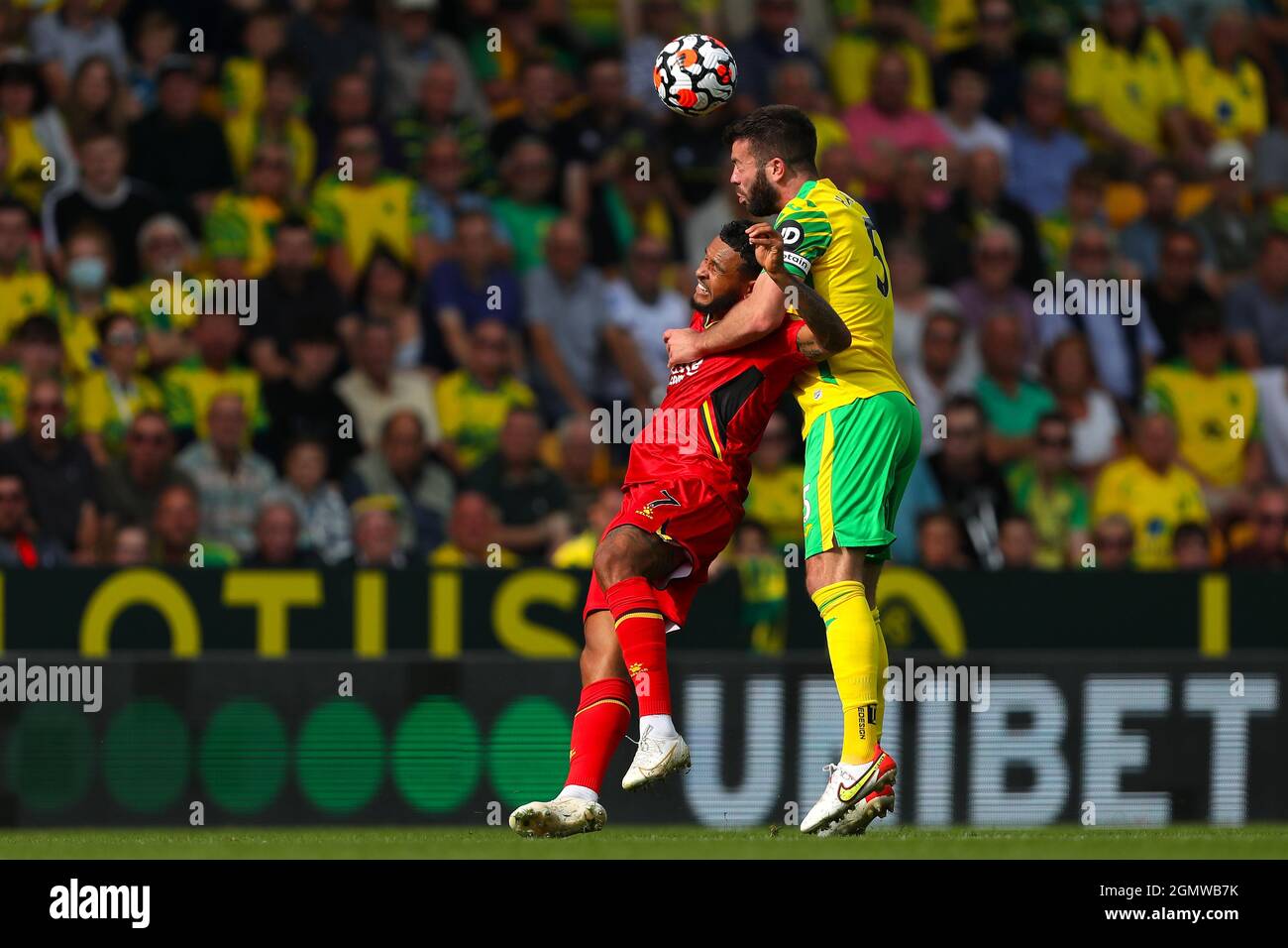 Grant Hanley of Norwich City and Joshua King of Watford - Norwich City ...