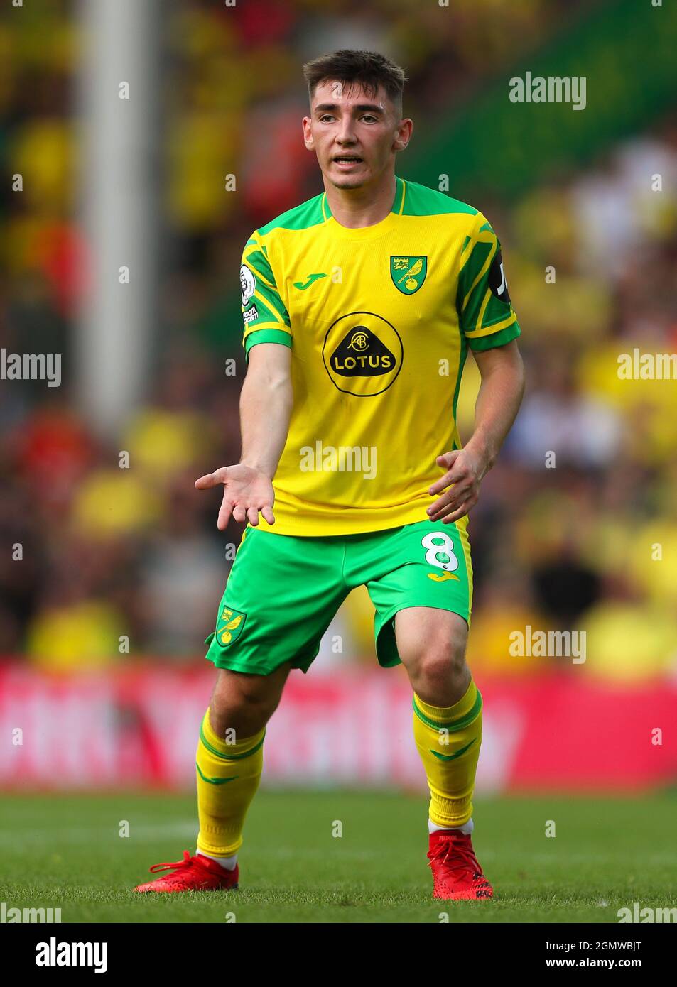 Billy Gilmour of Norwich City - Norwich City v Watford, Premier League ...