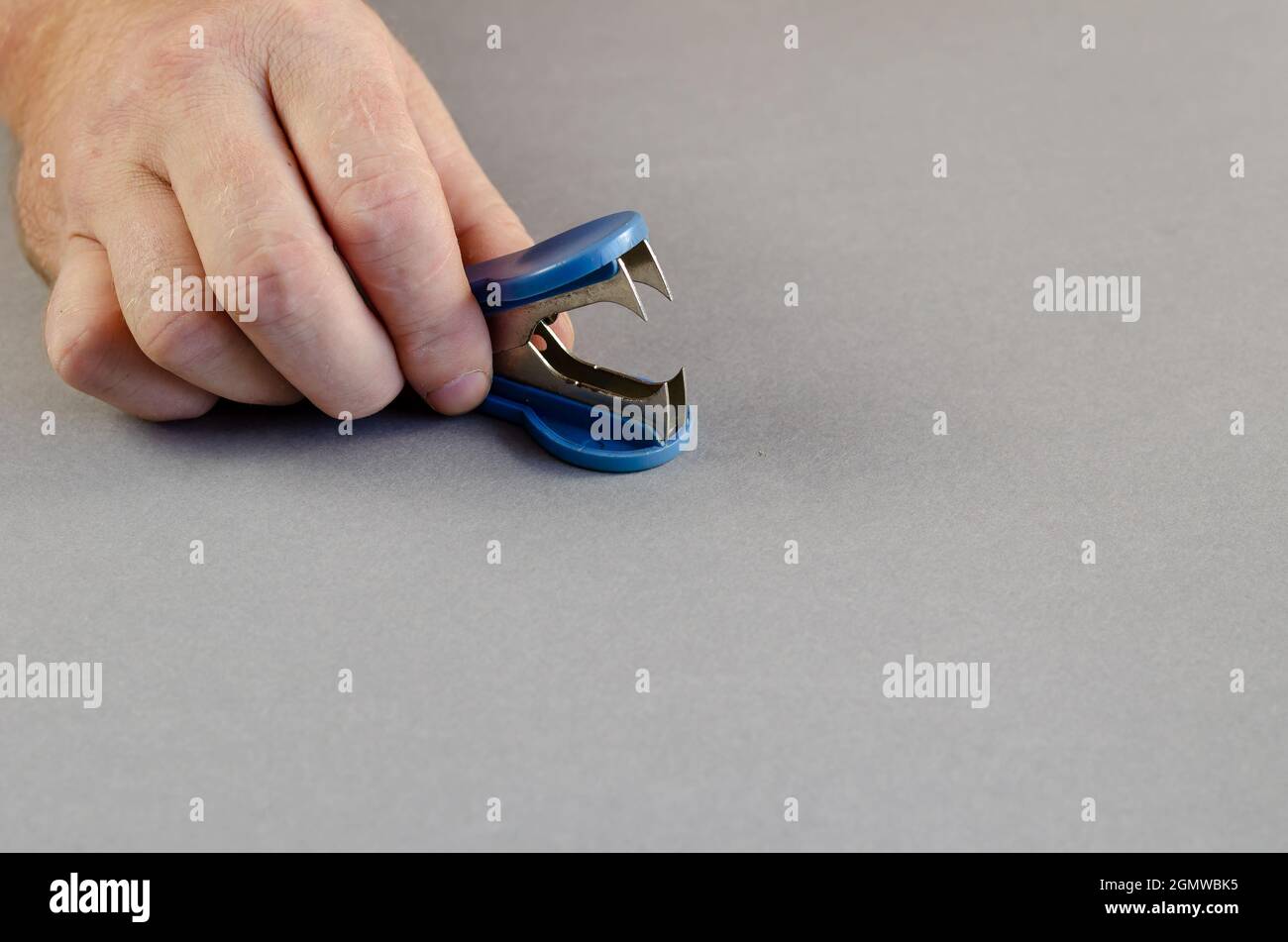 Male hand holds blue anti stapler against gray background. Devic Stock ...