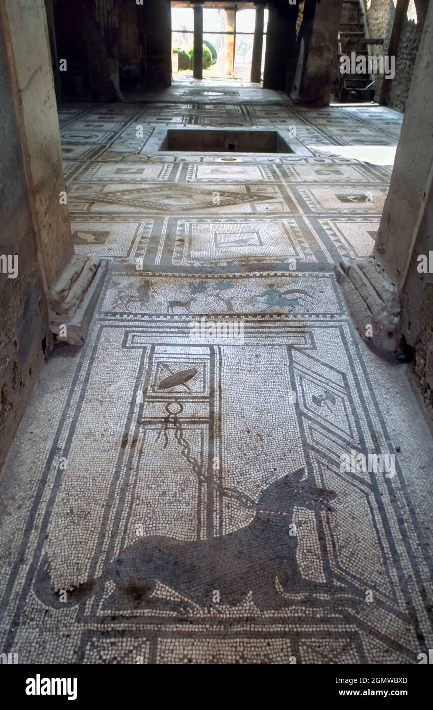 Pompeii, Italy - February 2011; Romans clearly loved their dogs, just ...