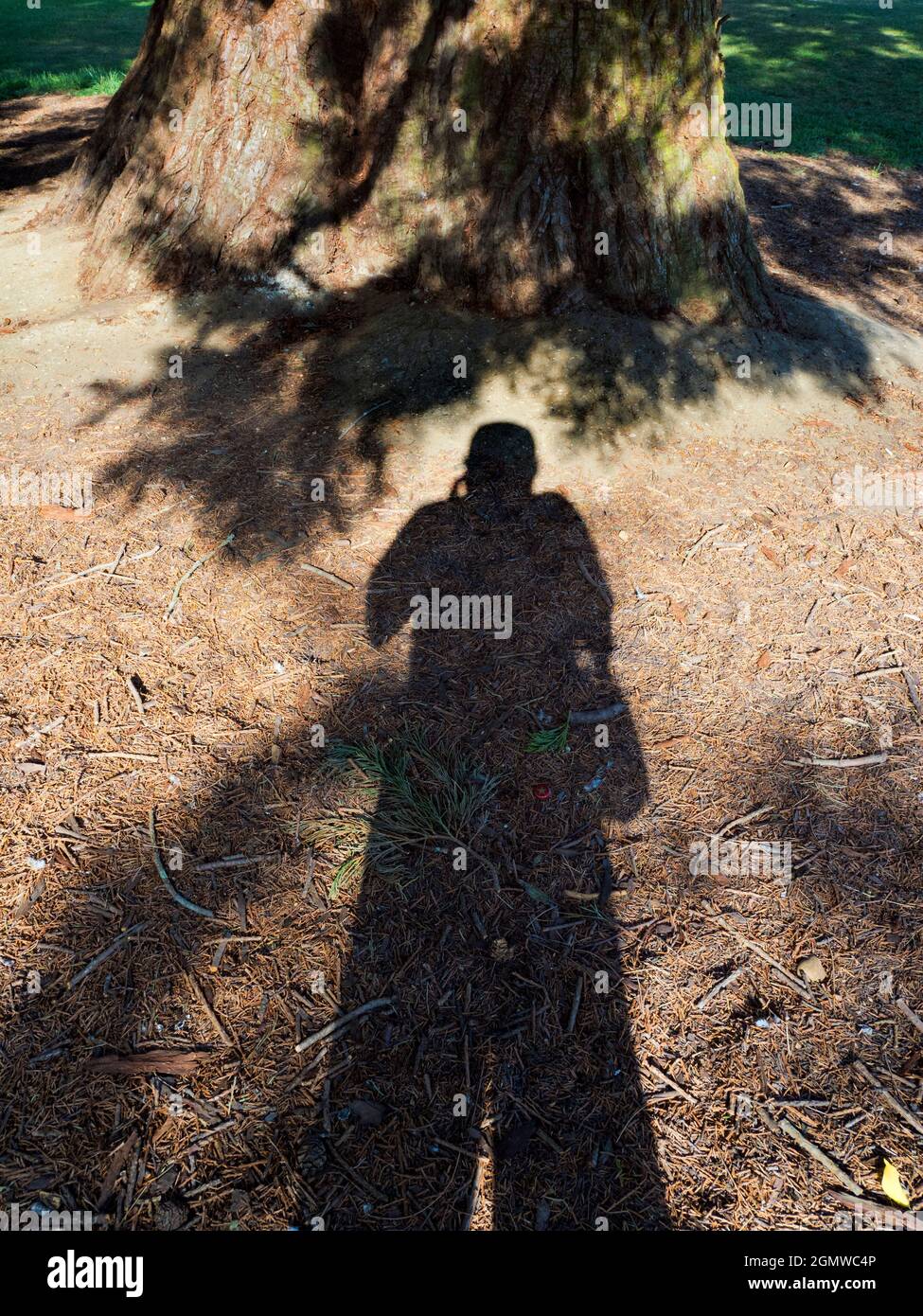 Abingdon, England - 28 May 2019; nobody in shot. Just my shadow ...