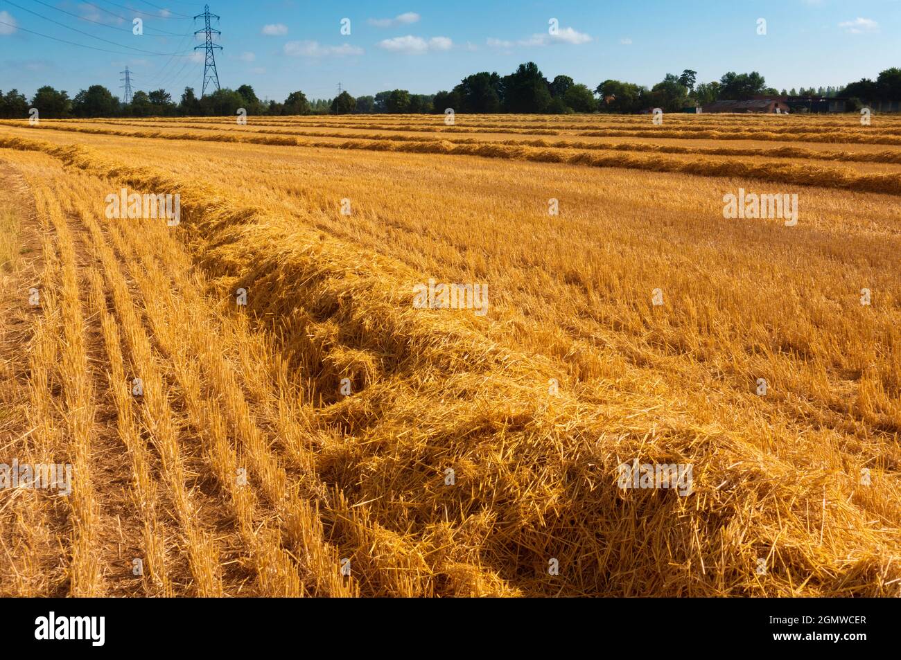 Radley Village, Oxfordshire, England - 23 July2019; One of my favourite ...