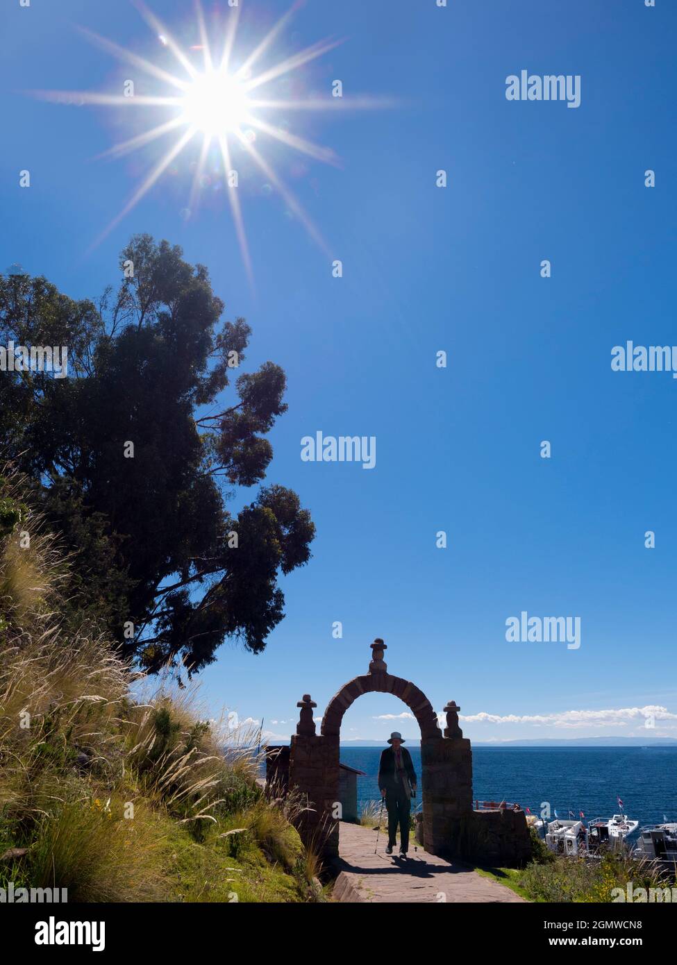 Human head shaped tree hi-res stock photography and images - Alamy