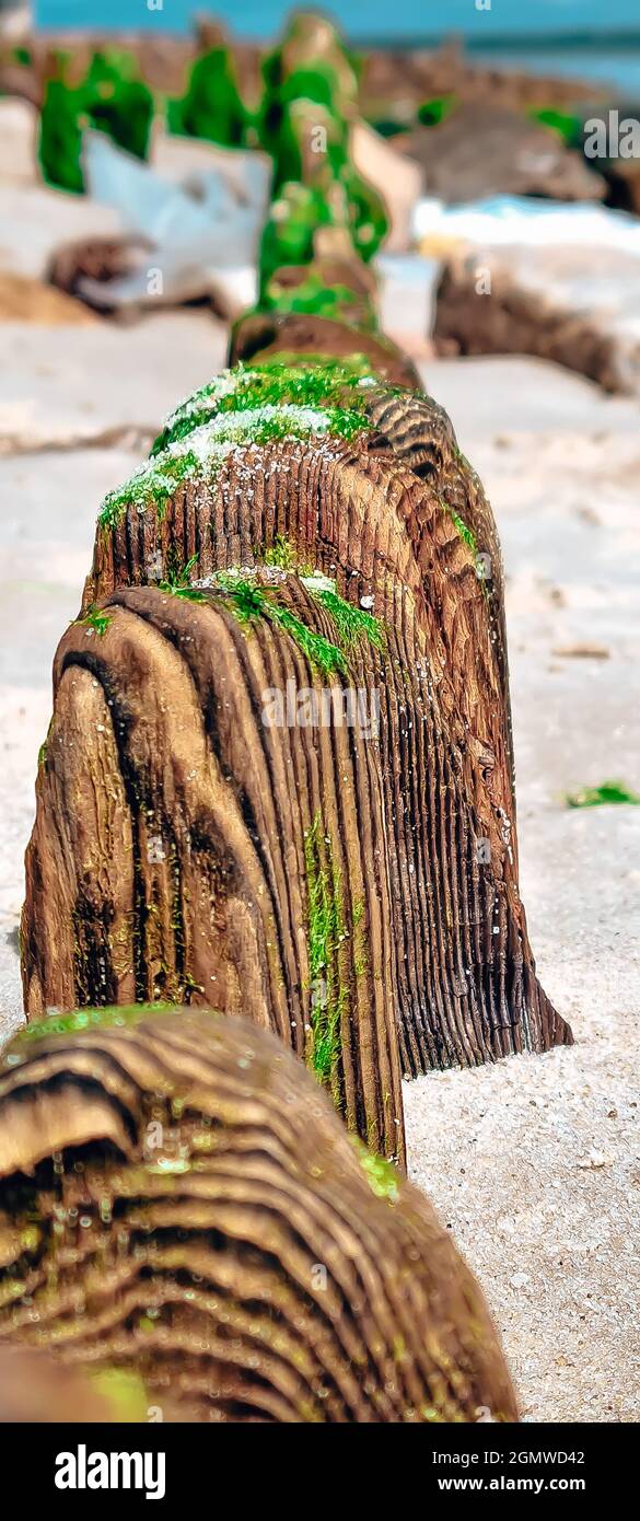 Vertical shot of a row of old wooden pier columns at a shore Stock ...