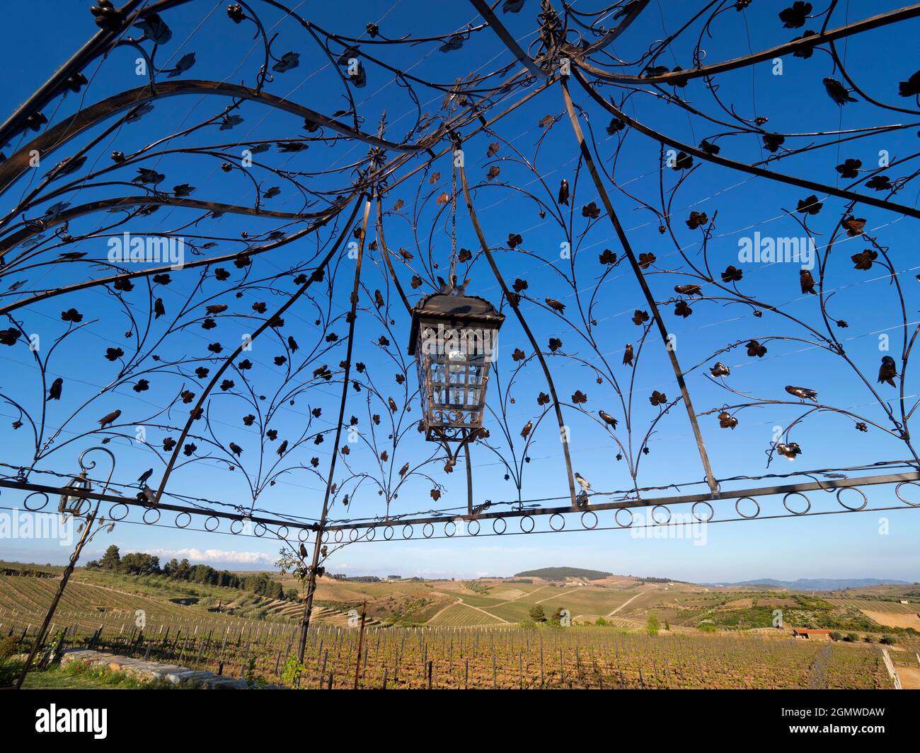 The scenic Douro Valley, which runs from the Atlantic coast at Porto ...