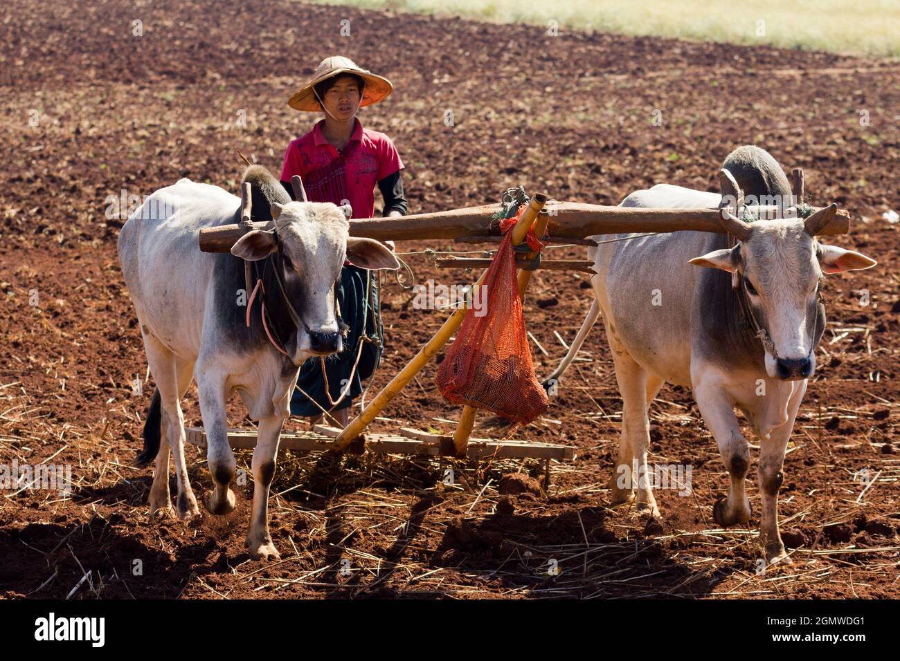 Traditional wooden plough hi-res stock photography and images - Alamy