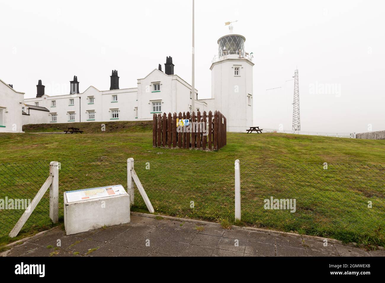 Grey point hi-res stock photography and images - Alamy