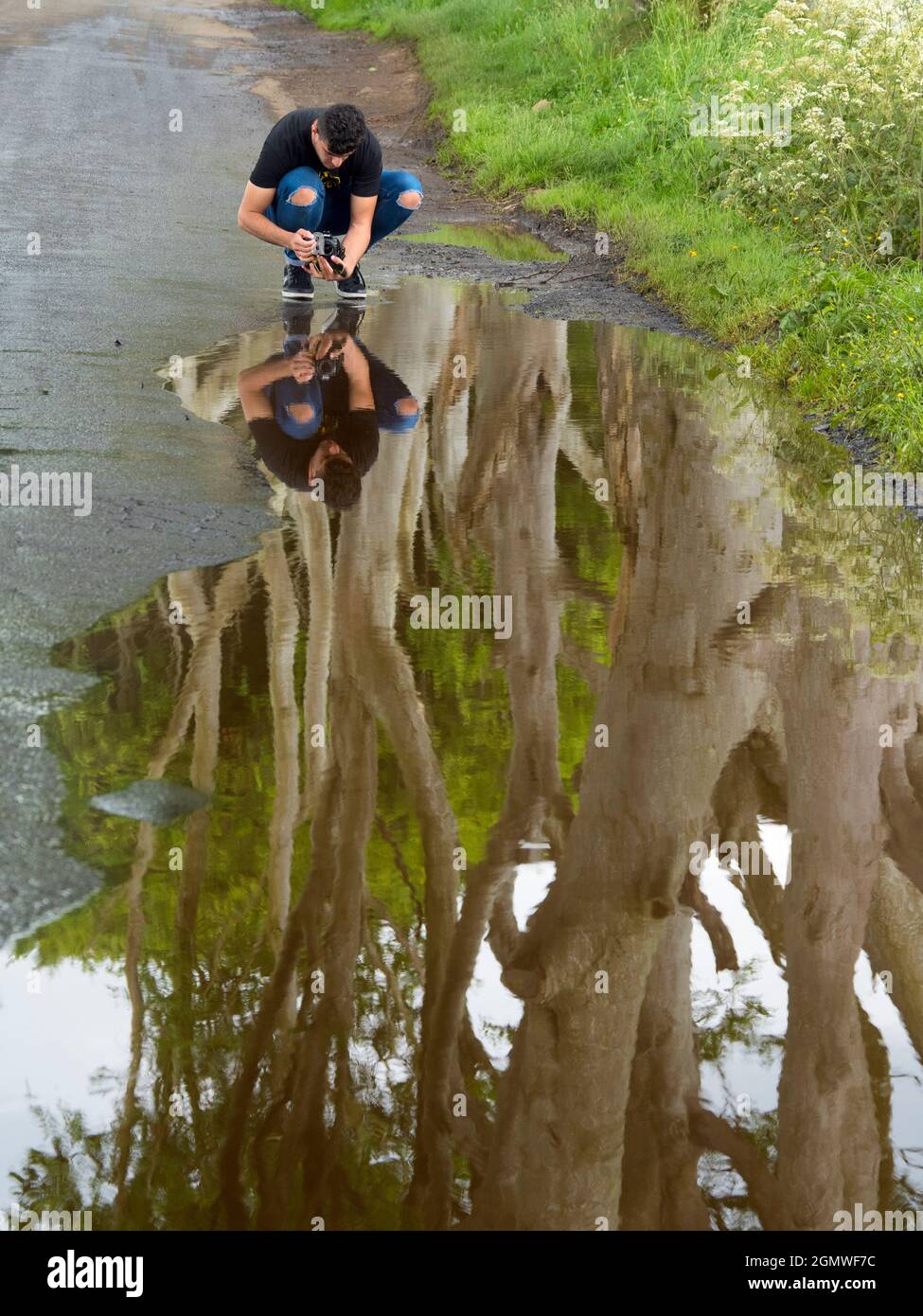 The Dark Hedges is a beautiful and mysterious avenue of beech trees in ...