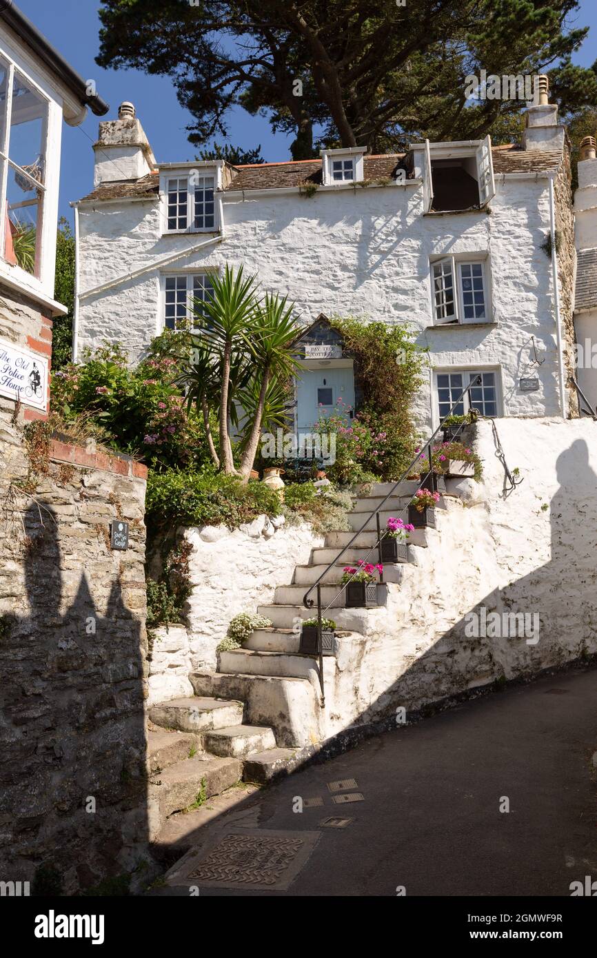 Meditteranian style garden, with steps leading to white painted Bay ...