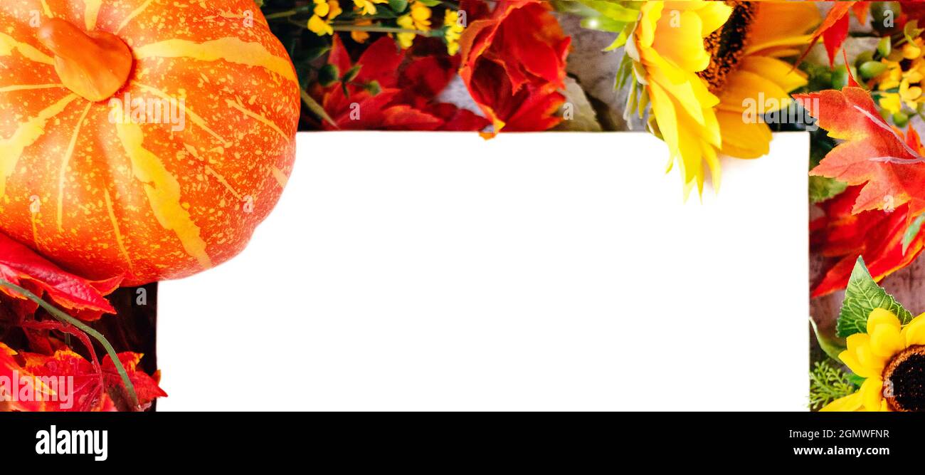 Autumn background: orange pumpkin, yellow sunflowers, orange and red ...