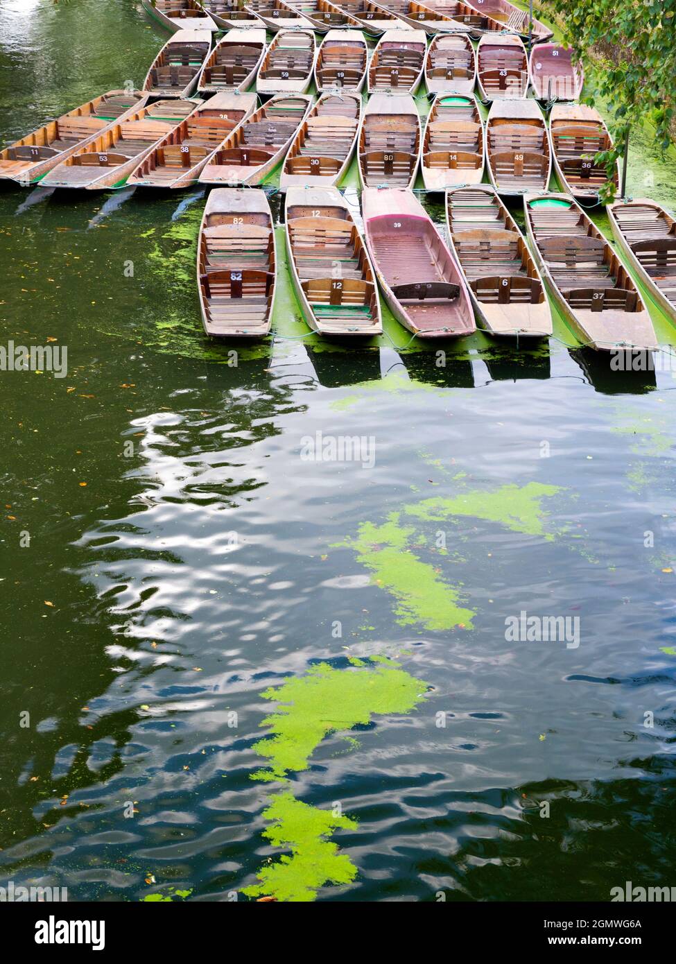 Oxford, England - 5 September 2019; A tranquil scene by Magdalen Bridge ...