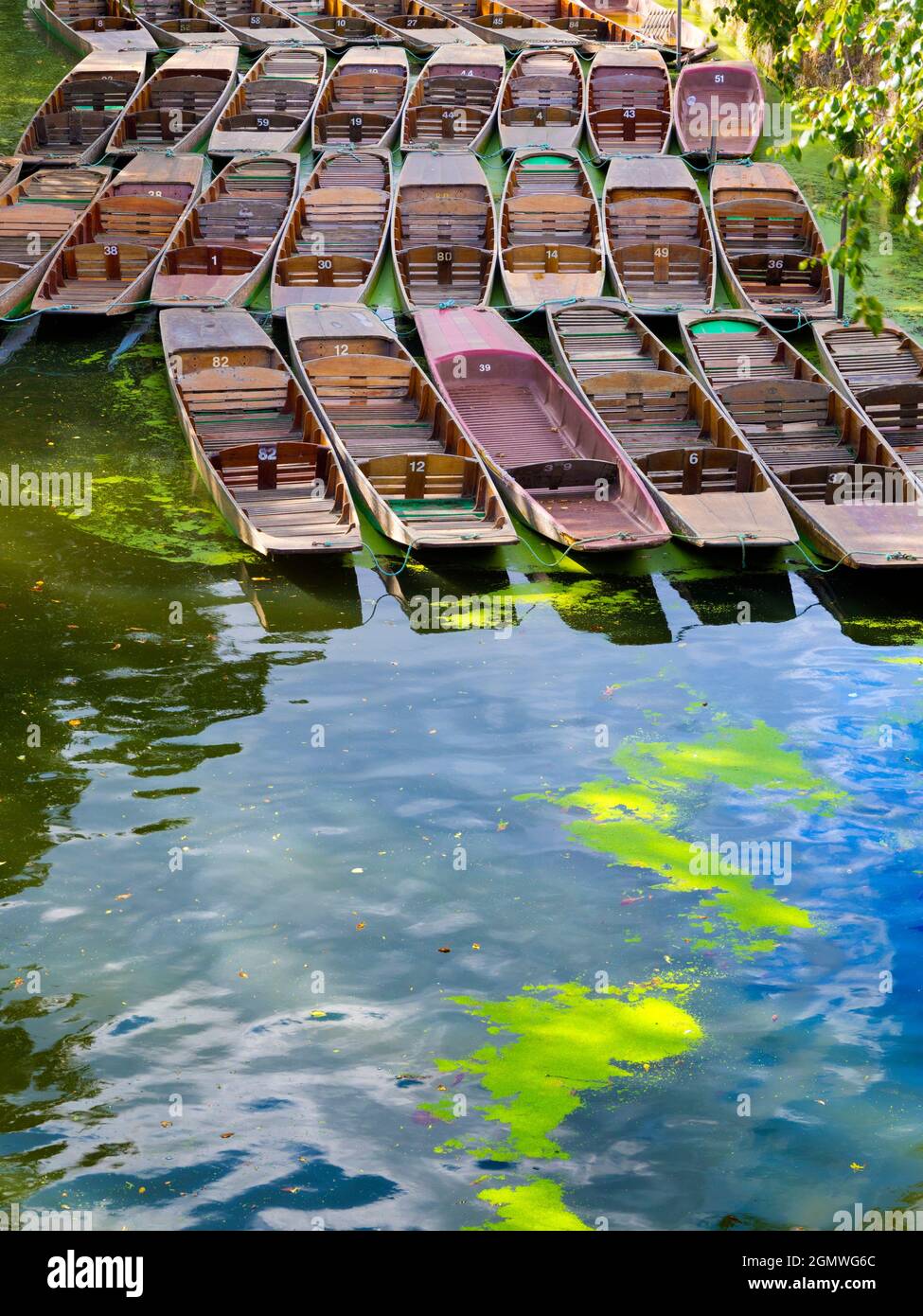 Oxford, England - 5 September 2019; A tranquil scene by Magdalen Bridge ...