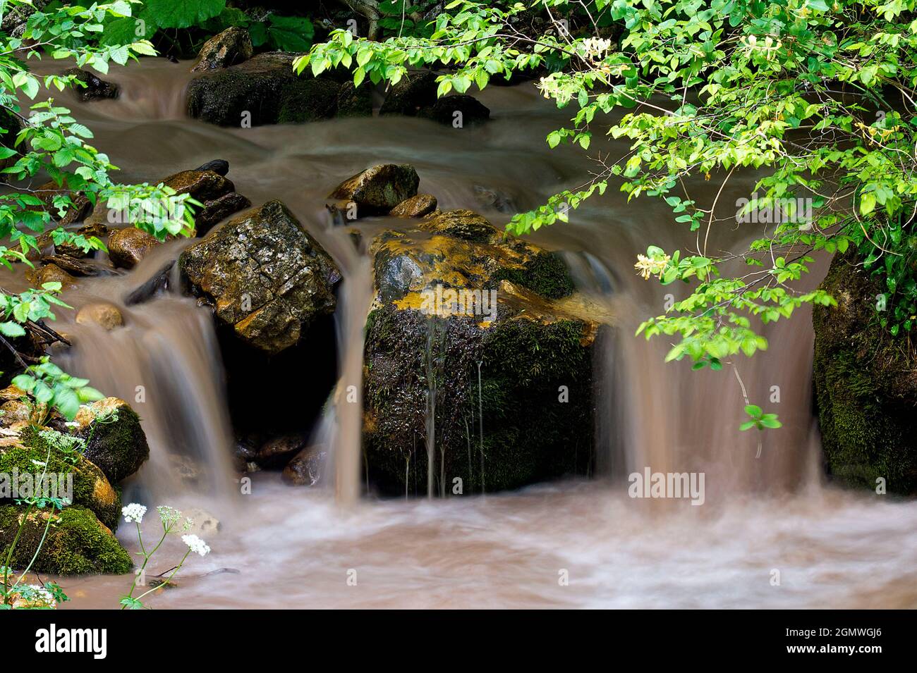 Fiume tenna hi-res stock photography and images - Alamy