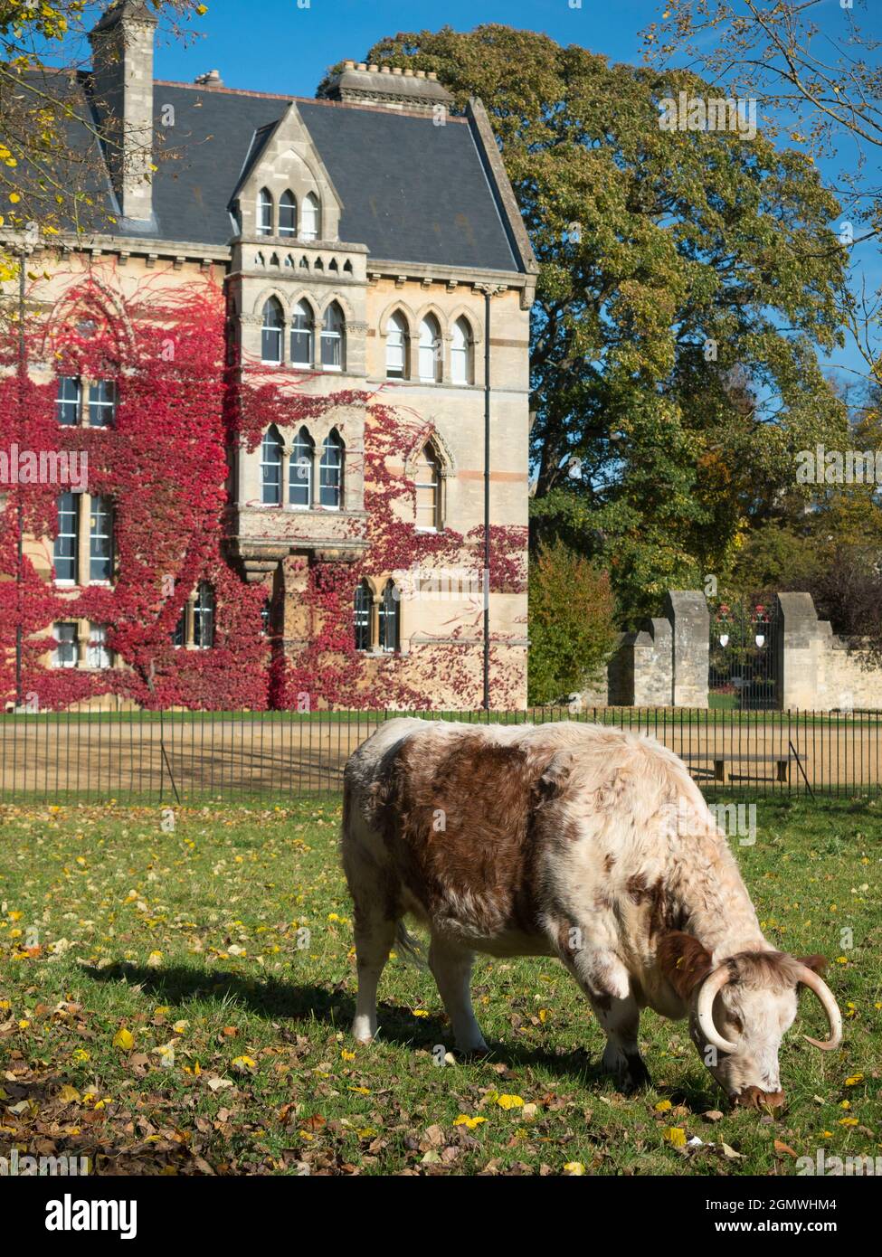 Founded in 1525 by Thomas Wolsey, Lord Chancellor of England, Christ ...