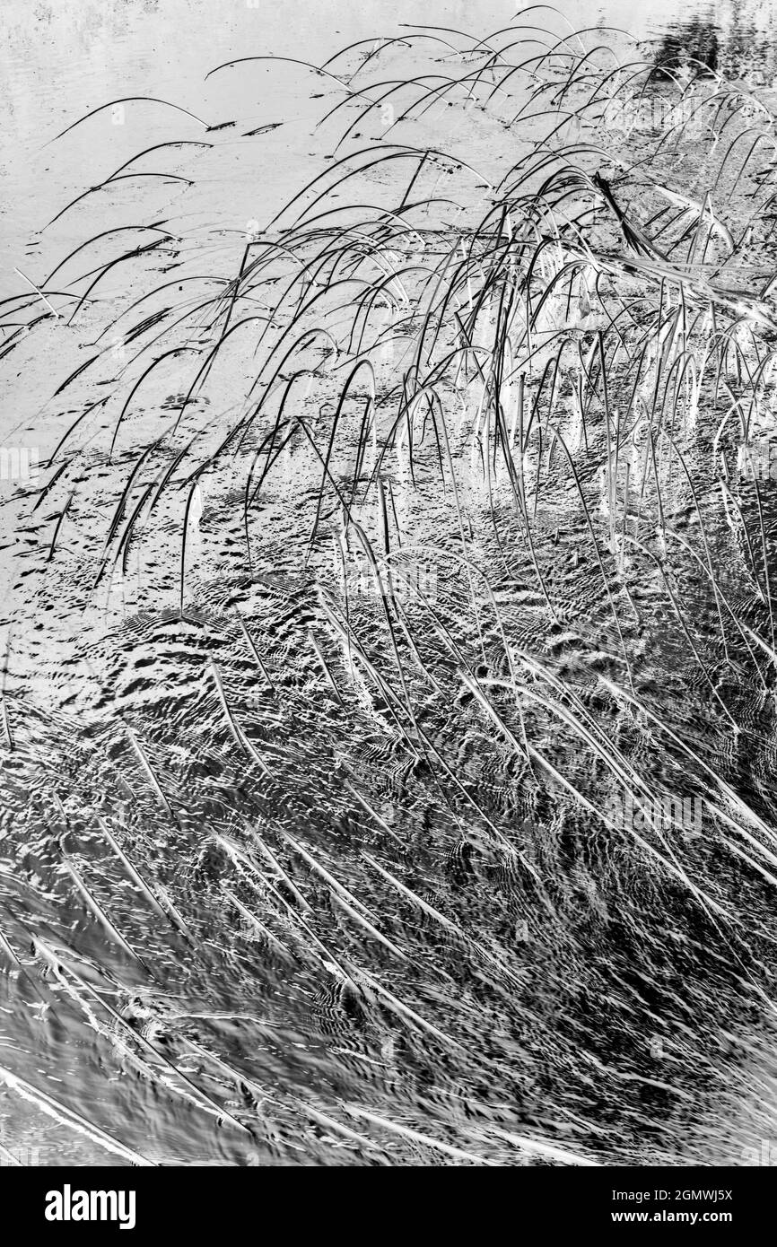 Rippled stream Black and White Stock Photos & Images - Alamy