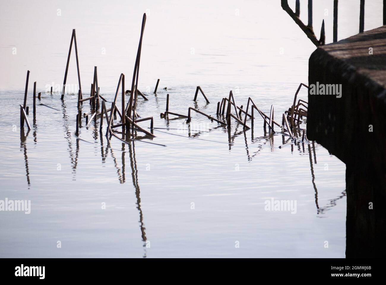 Abstract patterns of nature and the built environment Stock Photo - Alamy