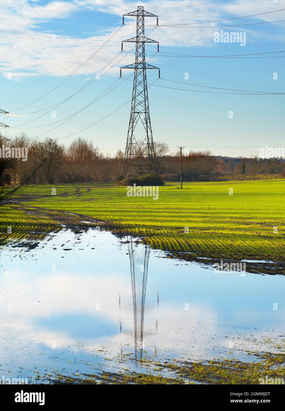 Oxfordshire, England - 2 January 2021; no people in view. I love ...