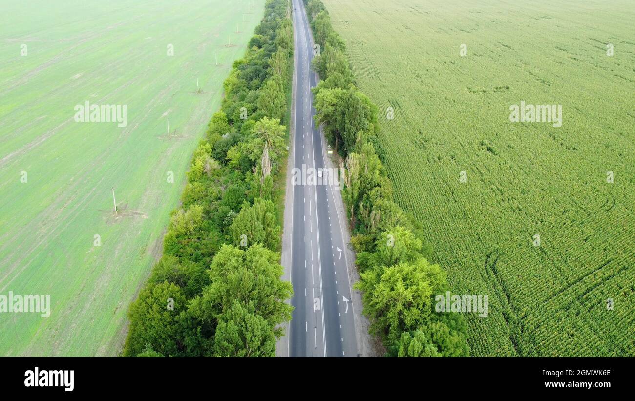 The road, fenced off with trees from agricultural fields, with busy ...