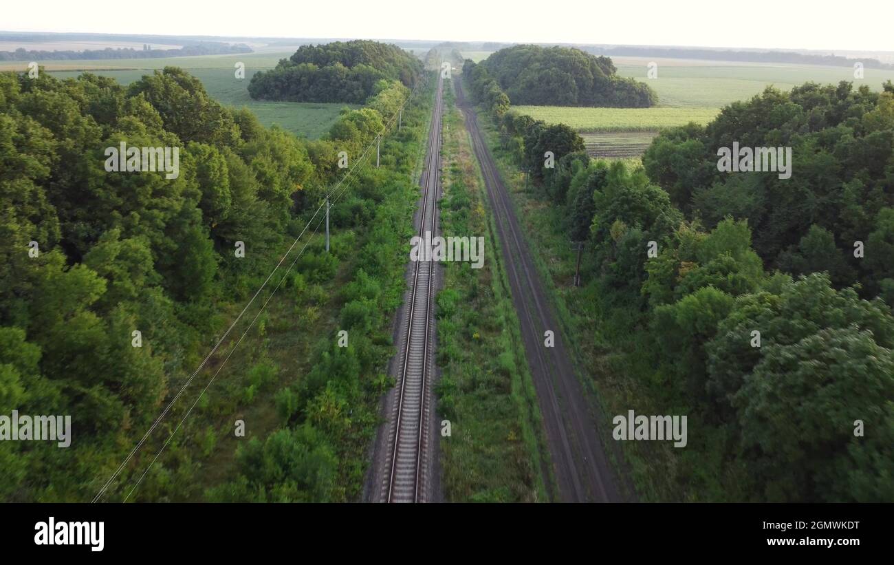 Rails through the forest and field. Dirt road, nature around the ...