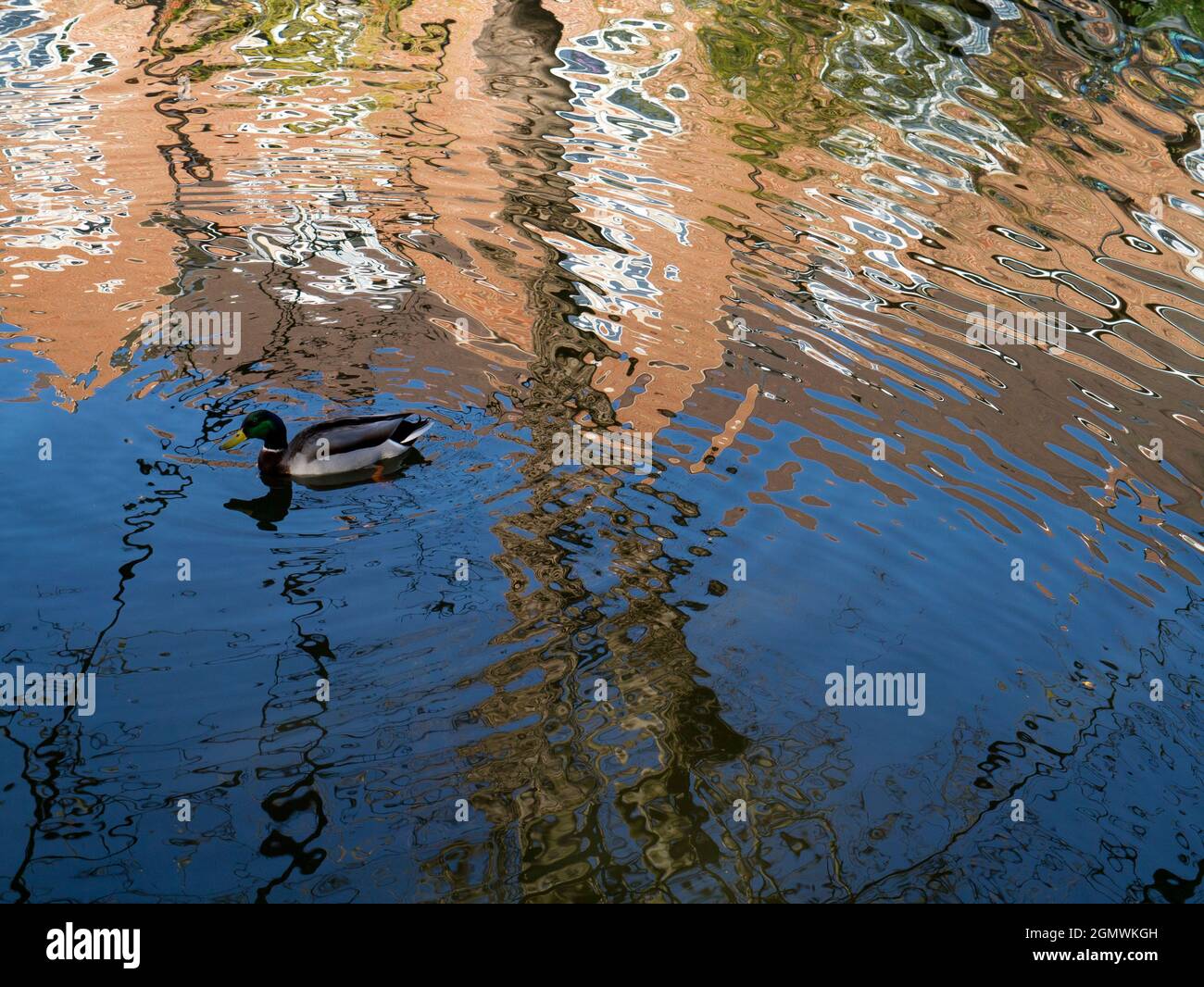 Abingdon, England - 28 June 2009 This is an un-retouched image of water ...