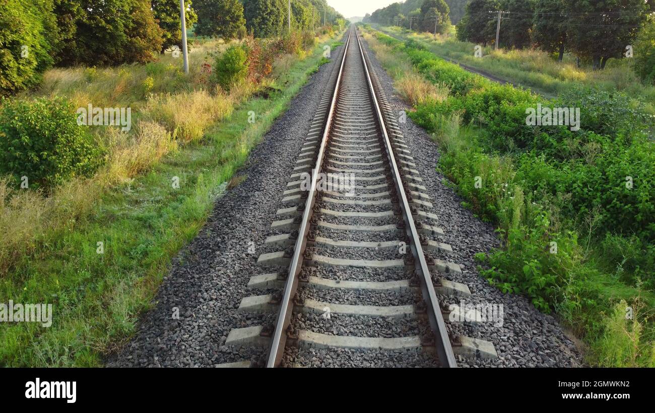 Railway lines through the forest and nature Stock Photo - Alamy