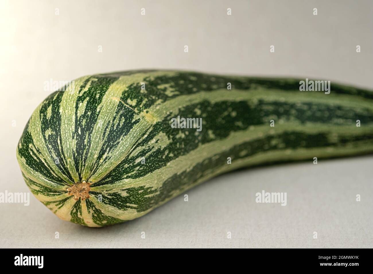 Zucchini at the lined background striped Stock Photo - Alamy