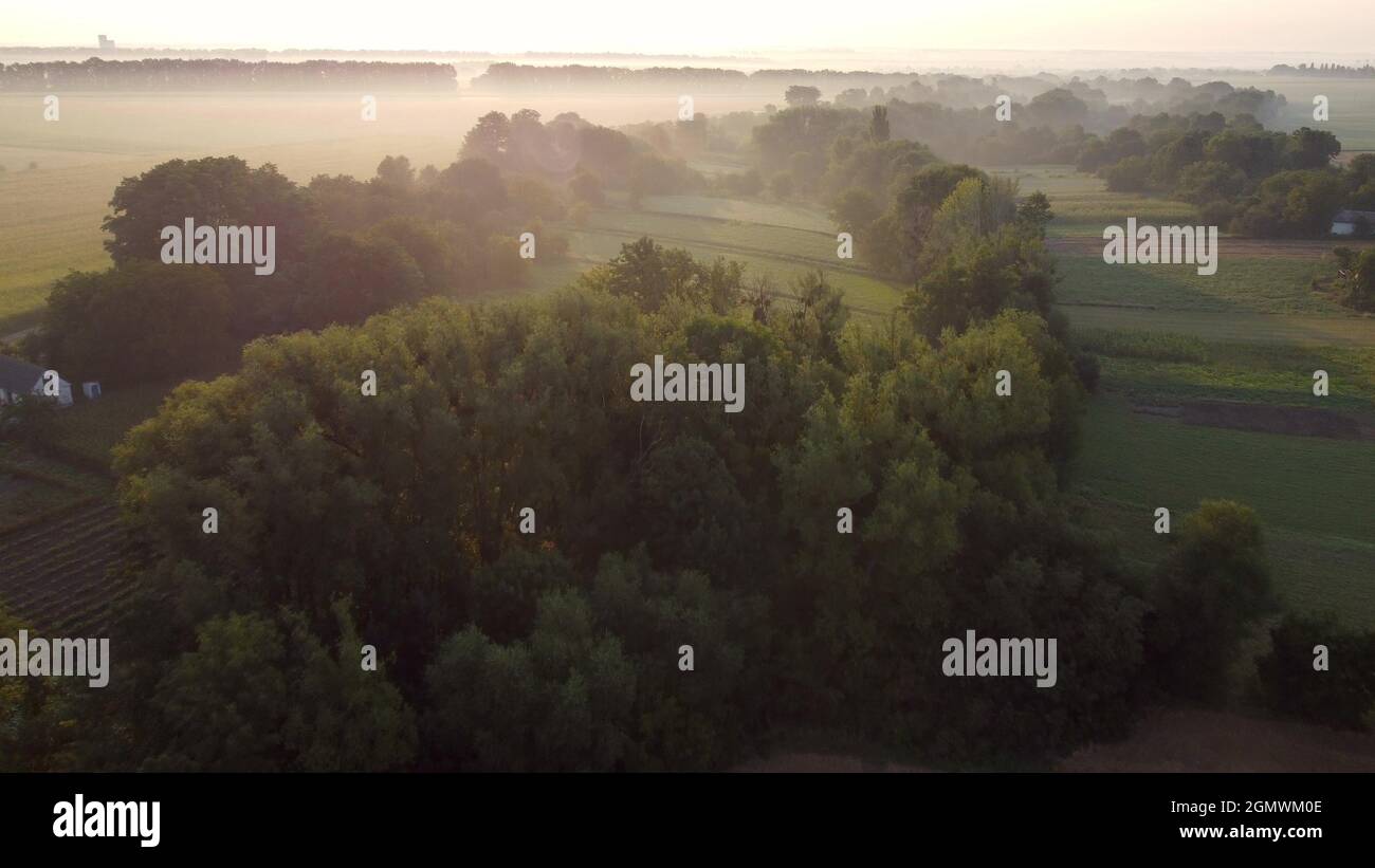 Aerial flight rising over trees hi-res stock photography and images - Alamy