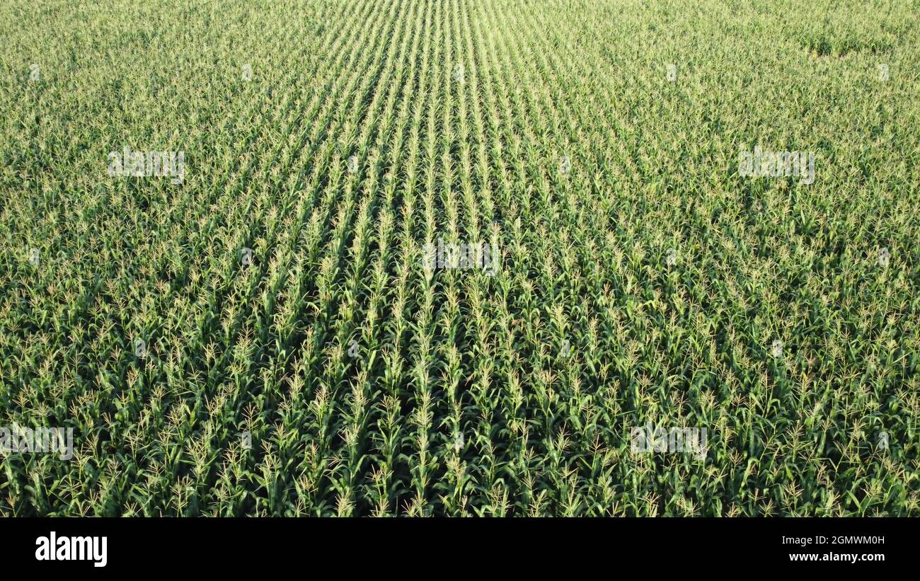 4k aerial agricultural landscape in hi-res stock photography and images ...