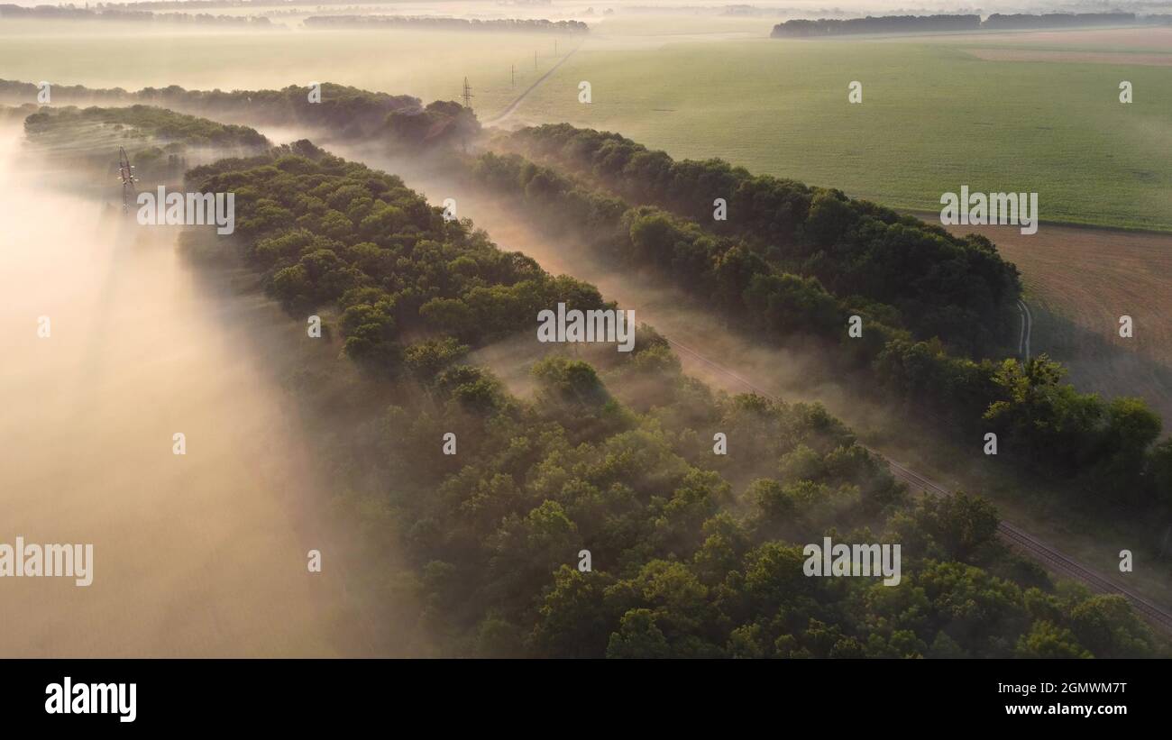 Fog over forest railway tracks hi-res stock photography and images - Alamy