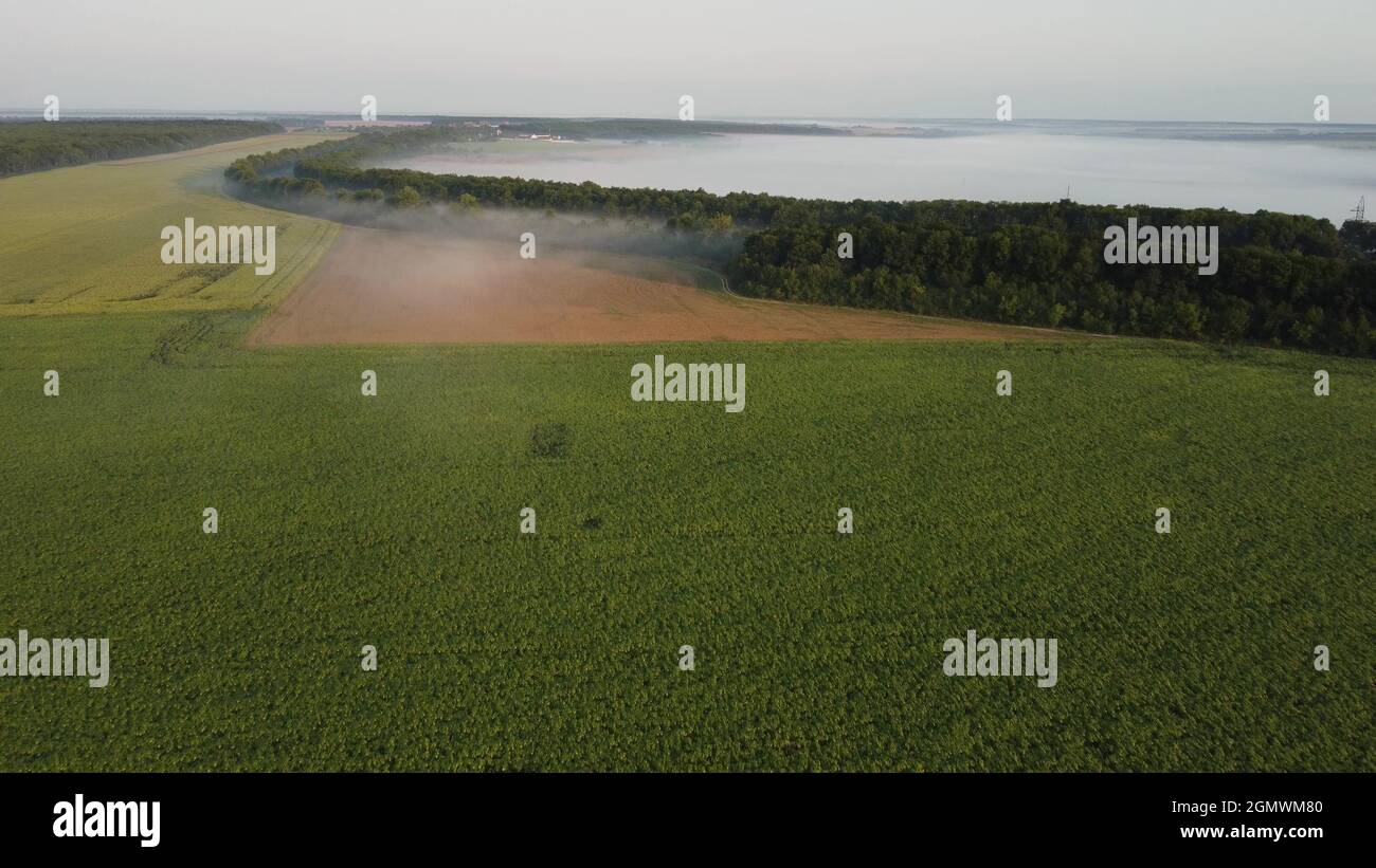 Aerial hyperlapse green meadow forest hi-res stock photography and ...