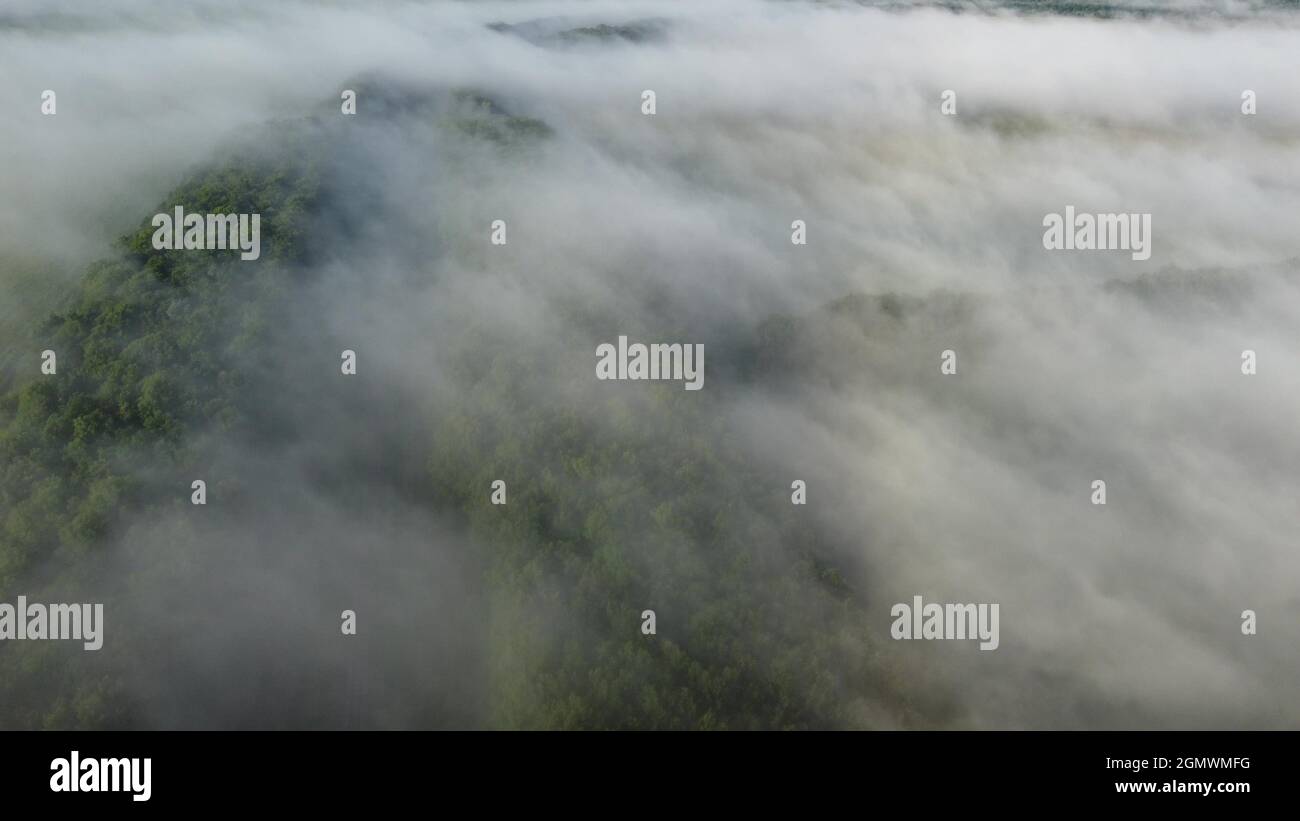 Flying over dense forest sunset hi-res stock photography and images - Alamy