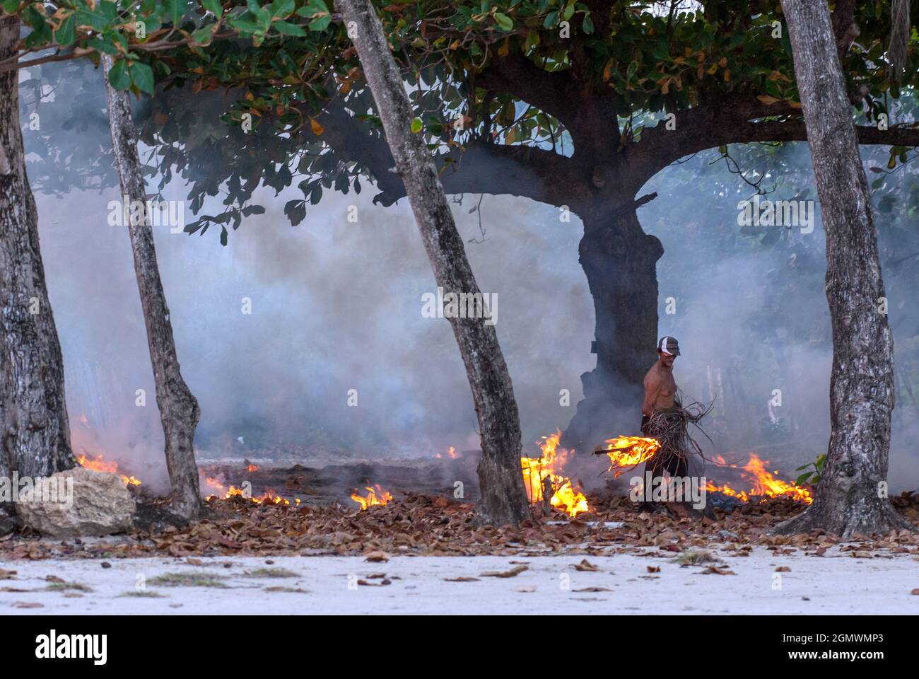 Man in a forest with fire, burn foreswt for to have camp Stock Photo ...