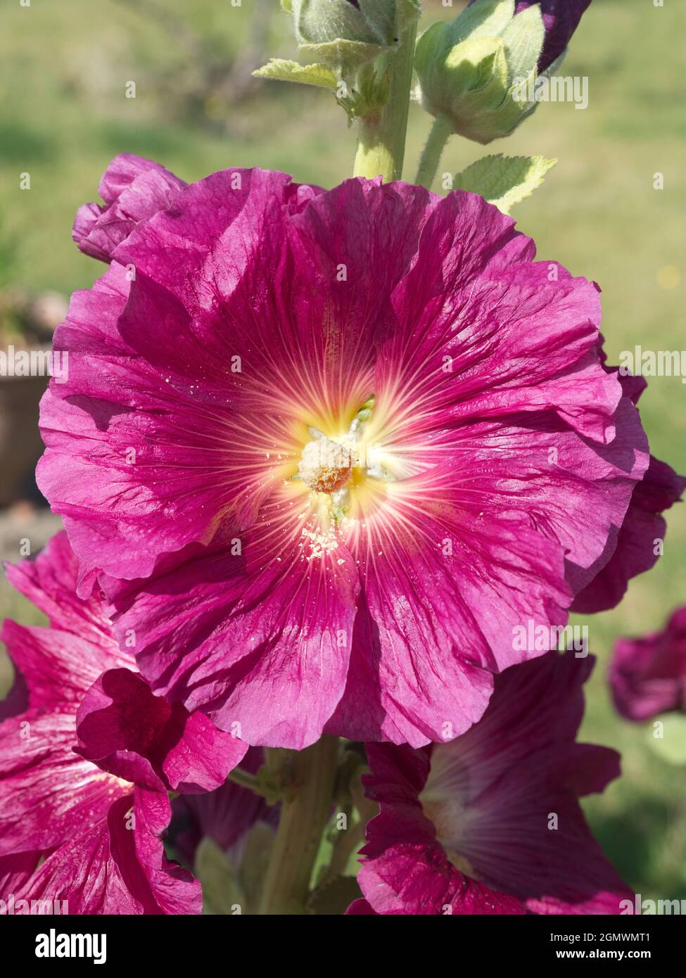 Radley Village, Oxfordshire, England - 26 June 2020; no people in view ...