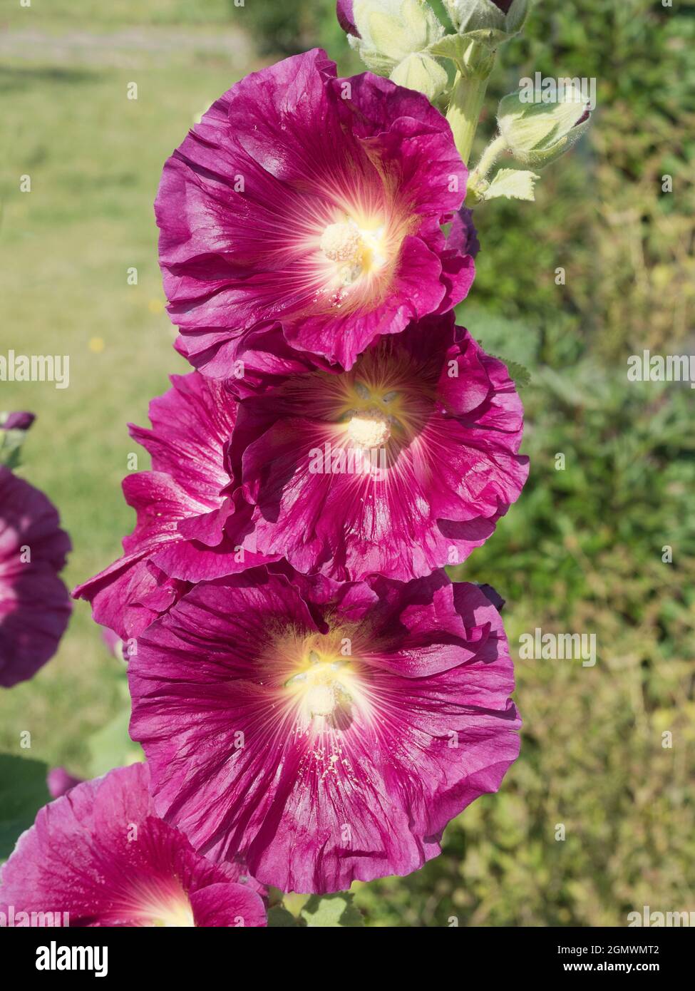 Radley Village, Oxfordshire, England - 26 June 2020; no people in view ...