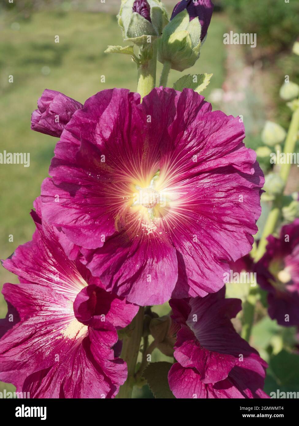 Radley Village, Oxfordshire, England - 26 June 2020; no people in view ...
