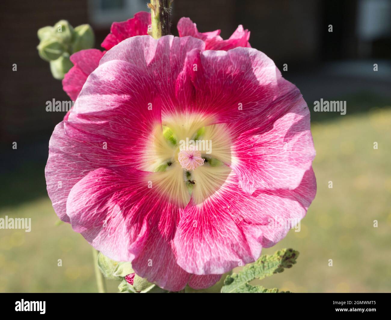 Radley Village, Oxfordshire, England - 26 June 2020; no people in view ...